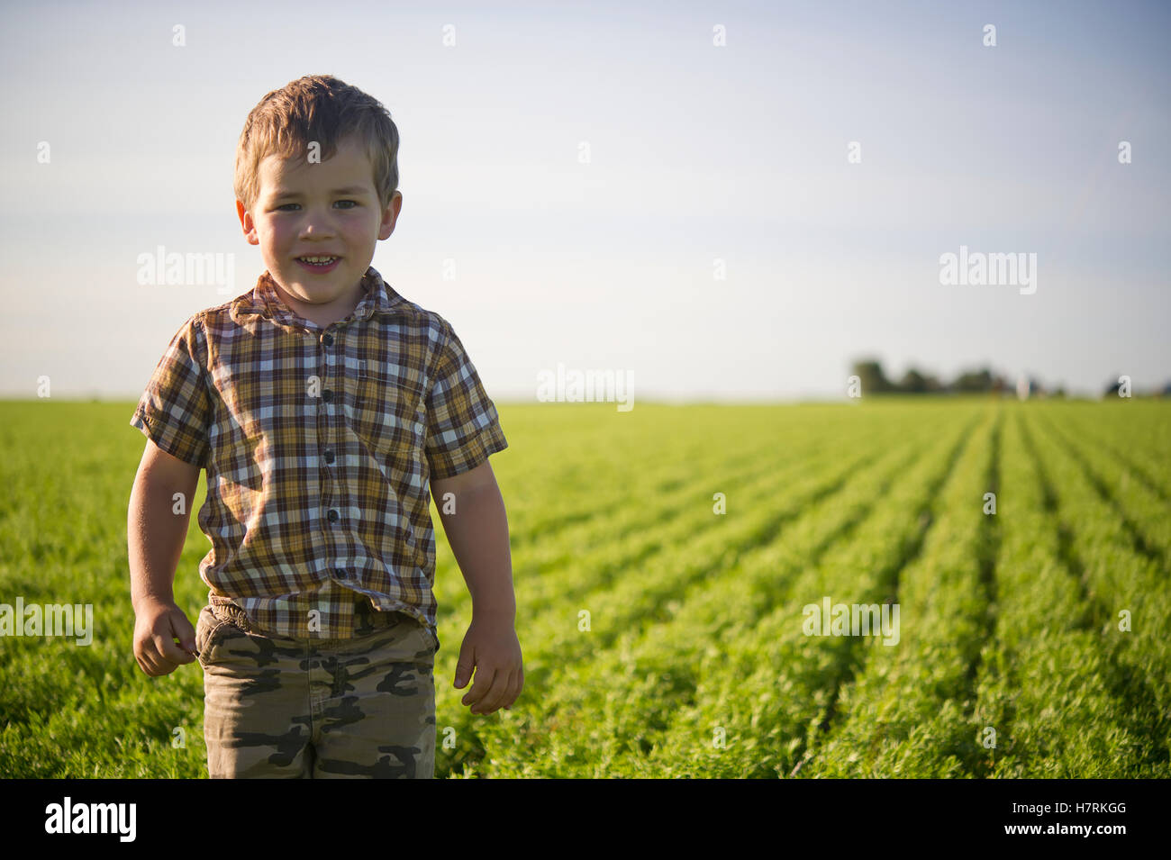 Young boy standing in a farm field in summertime; Saskatchewan, Canada ...