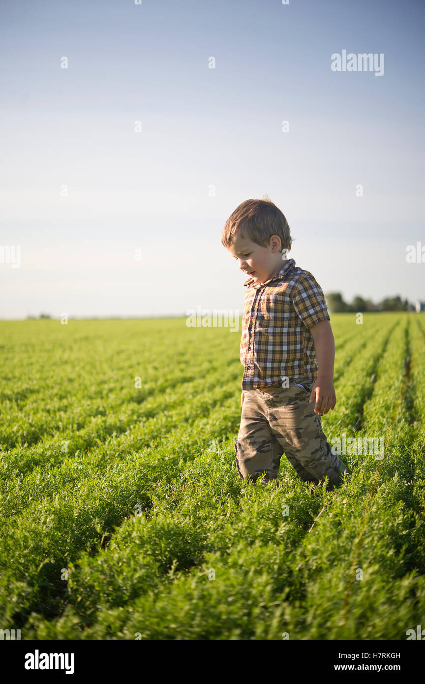 Young boy standing in a farm field in summertime; Saskatchewan, Canada ...
