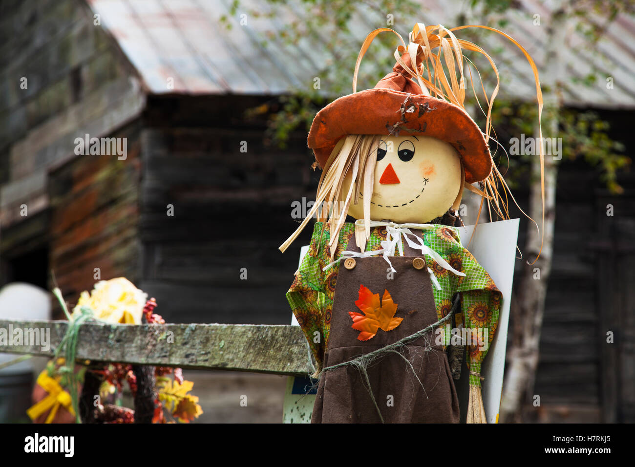 American Scarecrow High Resolution Stock Photography and Images - Alamy