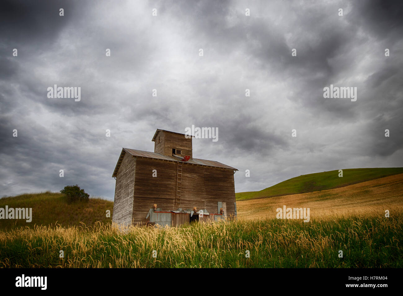 An old wooden barn in a field of rolling hills under storm clouds; Palouse, Washington, United ...