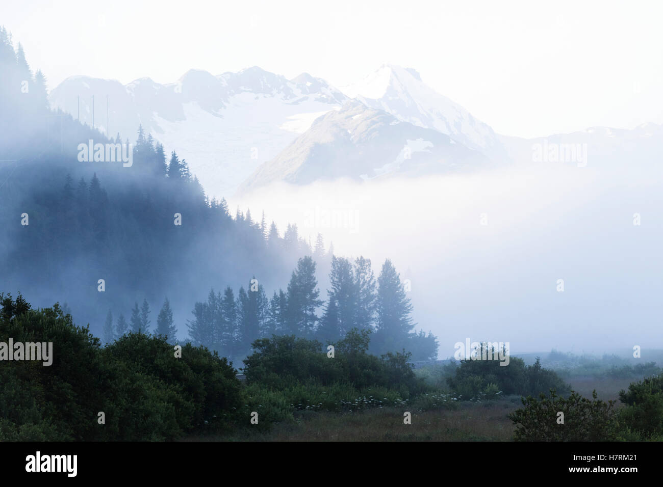 Early morning fog in South-central Alaska; Alaska, United States of ...