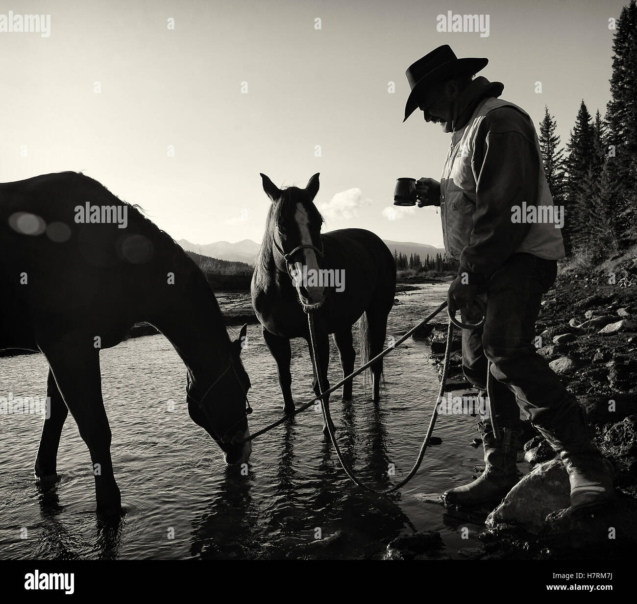 Cowboy having his morning coffee at the edge of a river with his horses ...