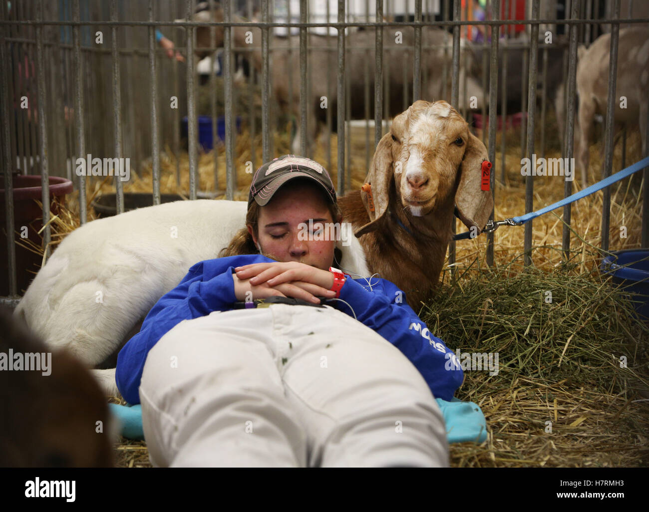 Toronto, Ontario, Canada. 6th Nov, 2016. A girl naps in a stall with ...