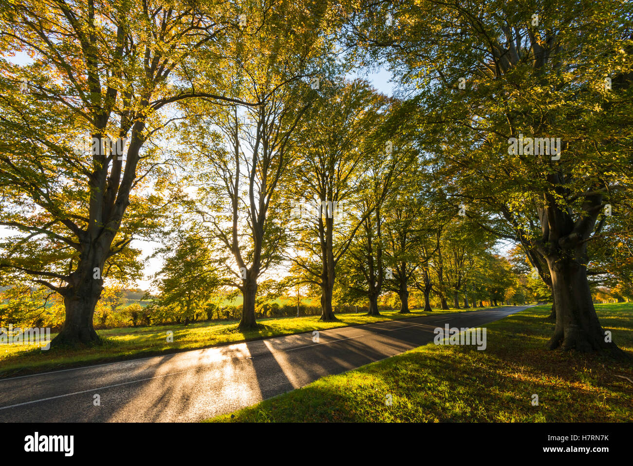 Maintained by the pr hi-res stock photography and images - Alamy