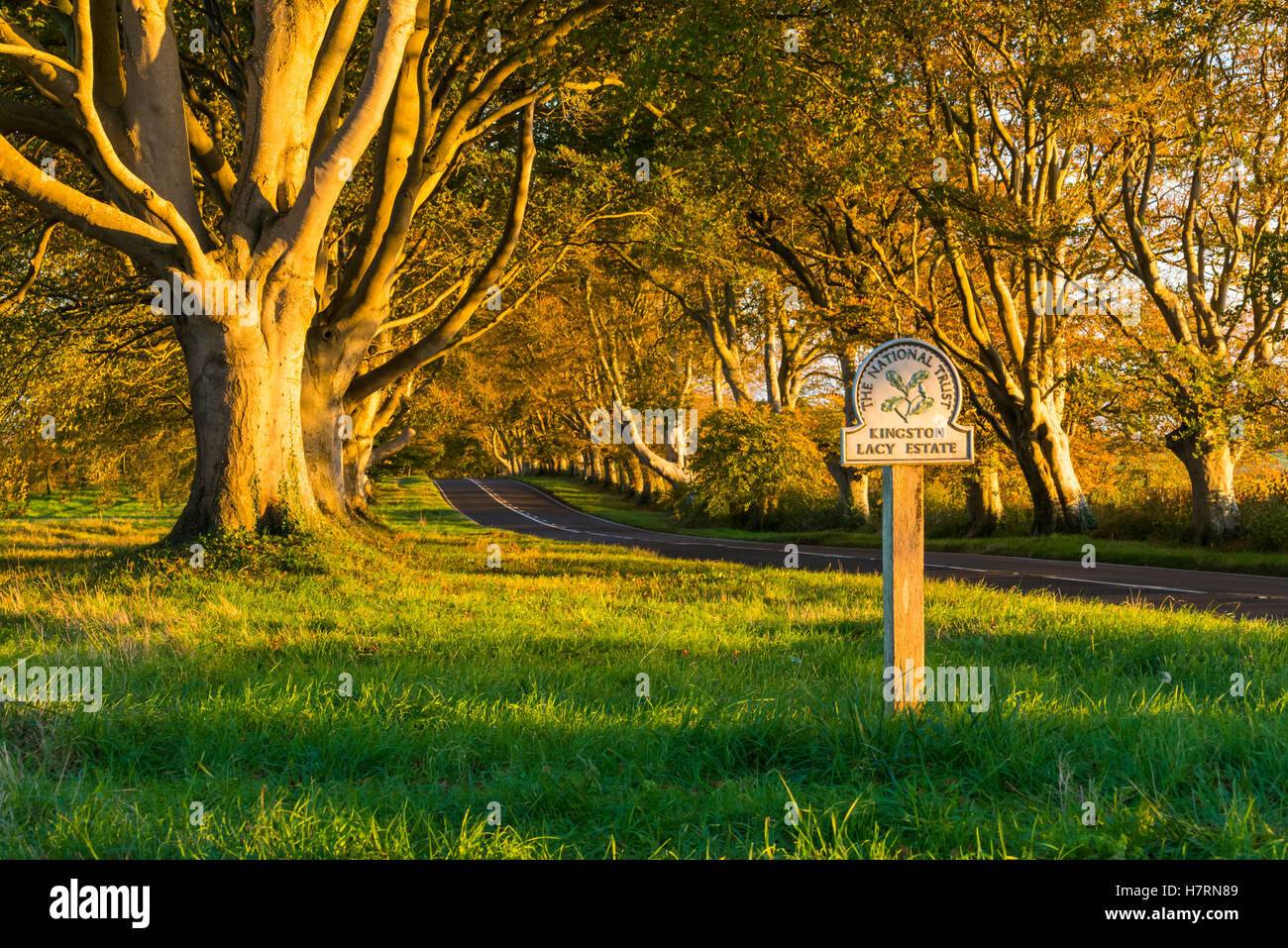 Maintained by the pr hi-res stock photography and images - Alamy