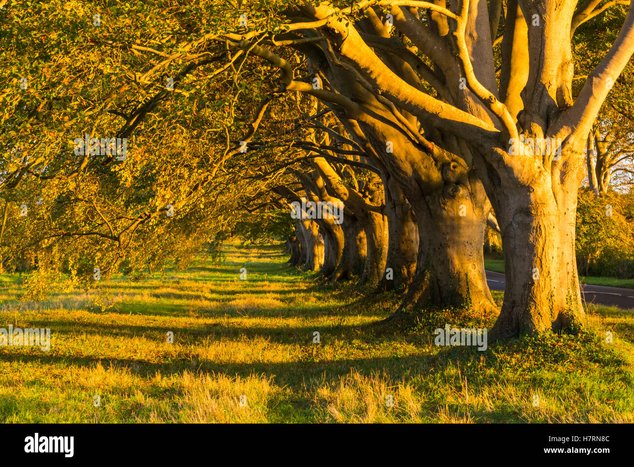 Maintained by the pr hi-res stock photography and images - Alamy