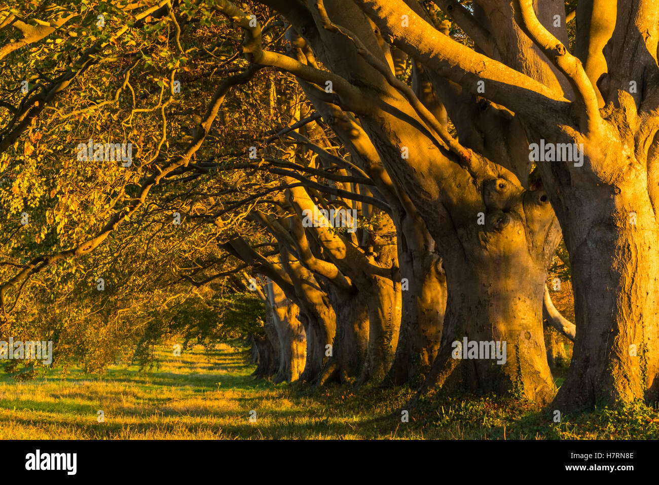 Maintained by the pr hi-res stock photography and images - Alamy