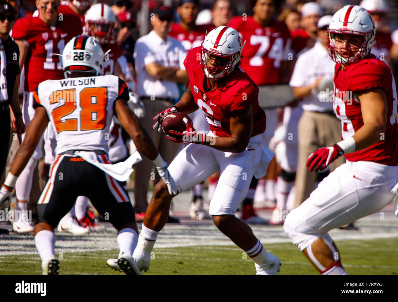 Palo Alto, California, USA. 5th Nov, 2016. Stanford Receiver Francis ...