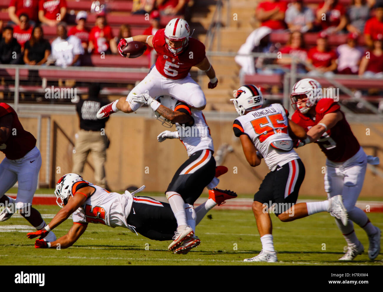 Christian mccaffrey stanford hi-res stock photography and images - Alamy
