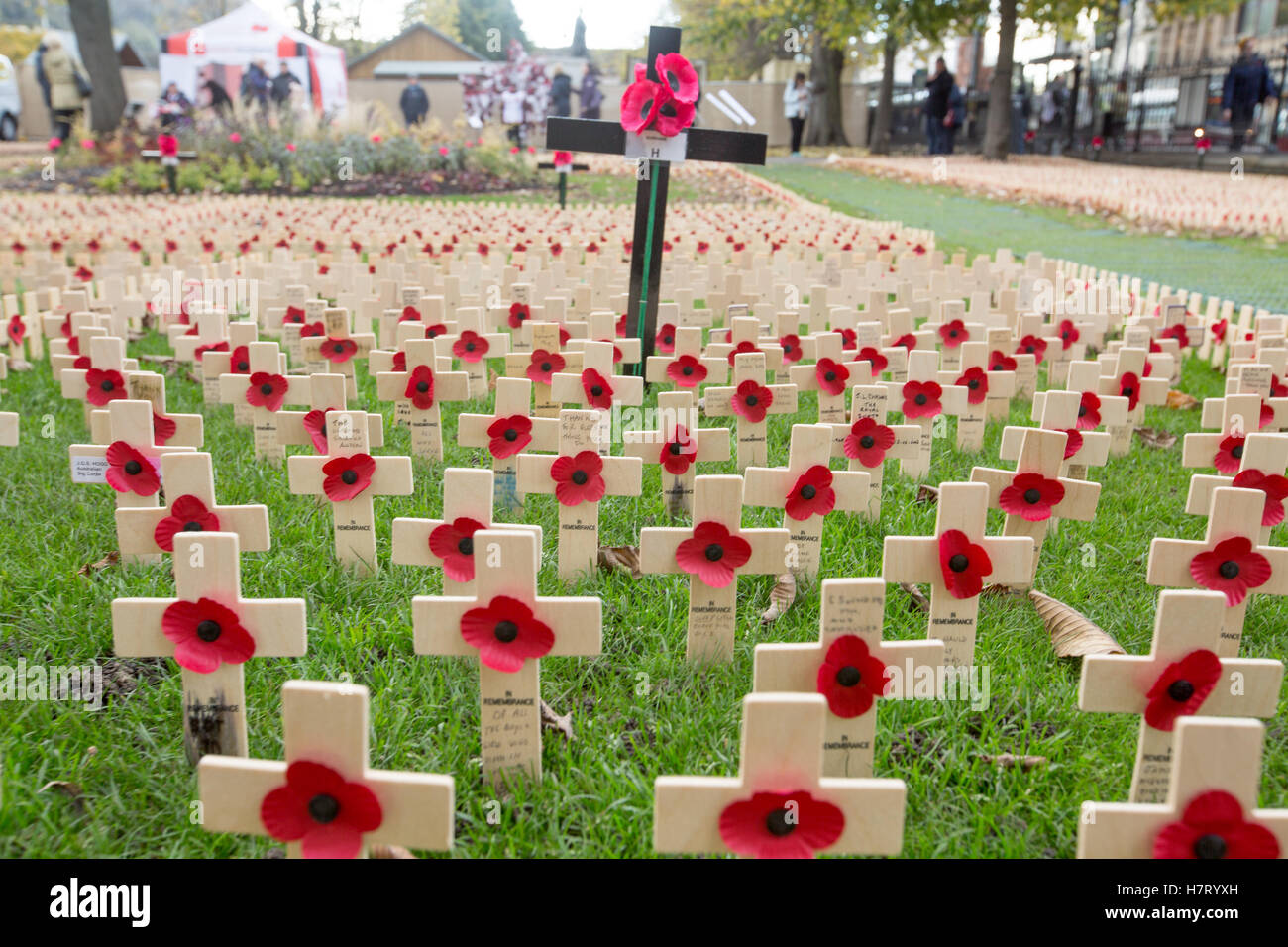 Edinburgh, UK. 8th Nov, 2016. Poppy Scotland - Field of Remembrance ...