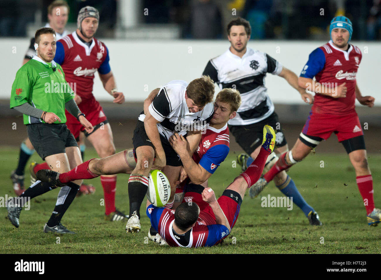 Barbarian rugby hi-res stock photography and images - Alamy