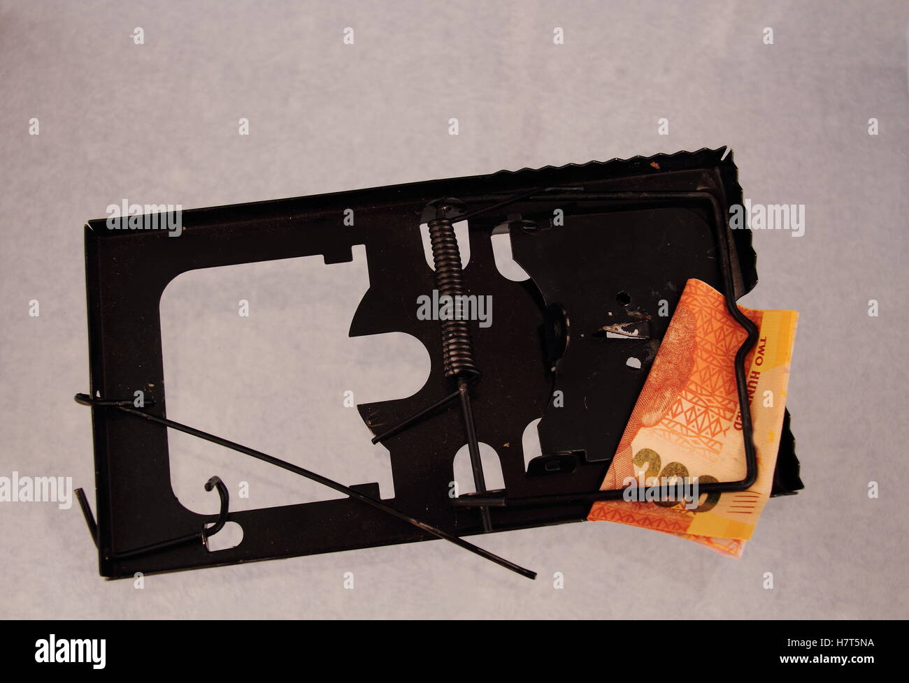 Cash money in a rat trap isolated on a clear background with copy space ...