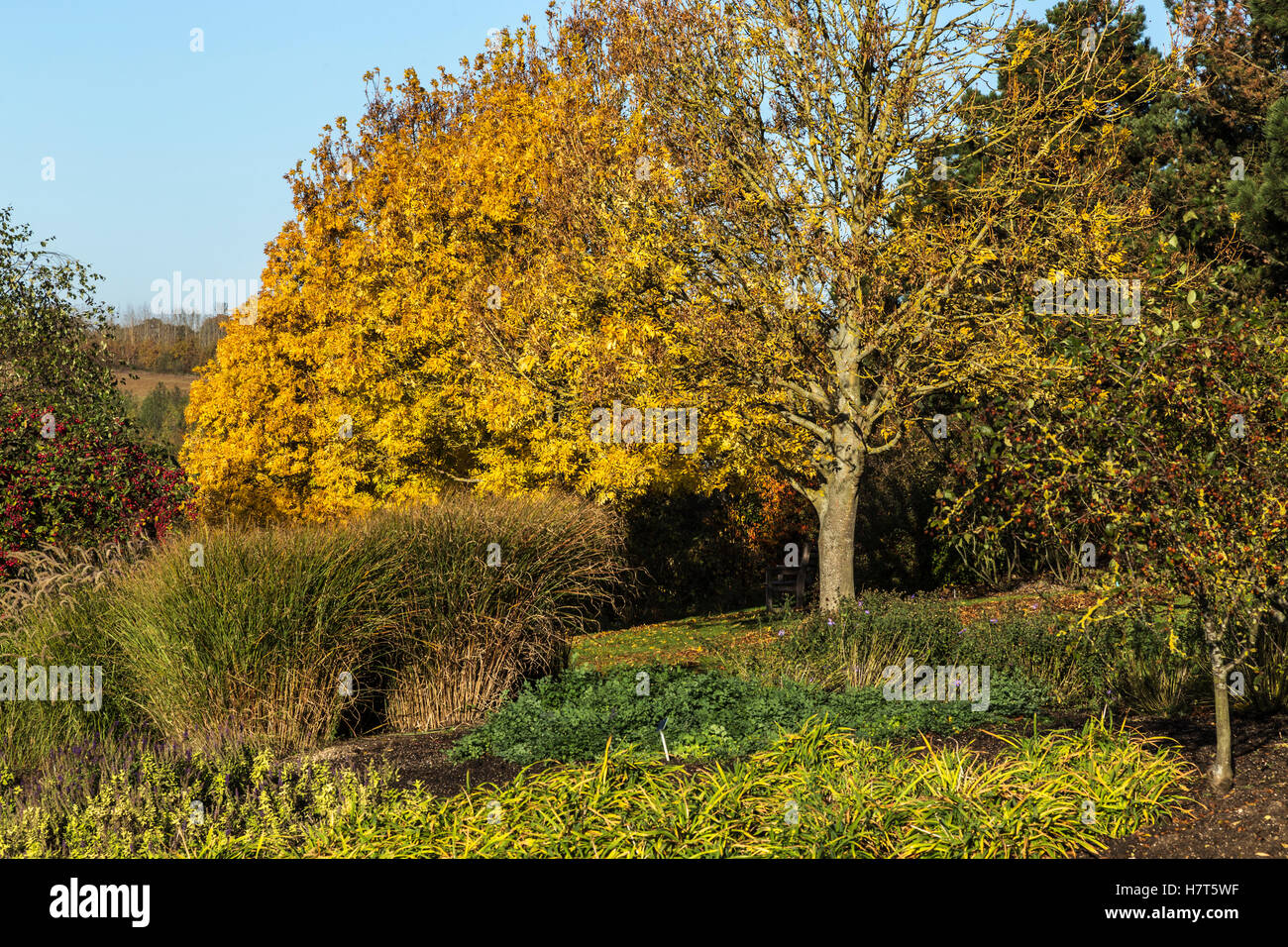 General Garden View Stock Photo - Alamy