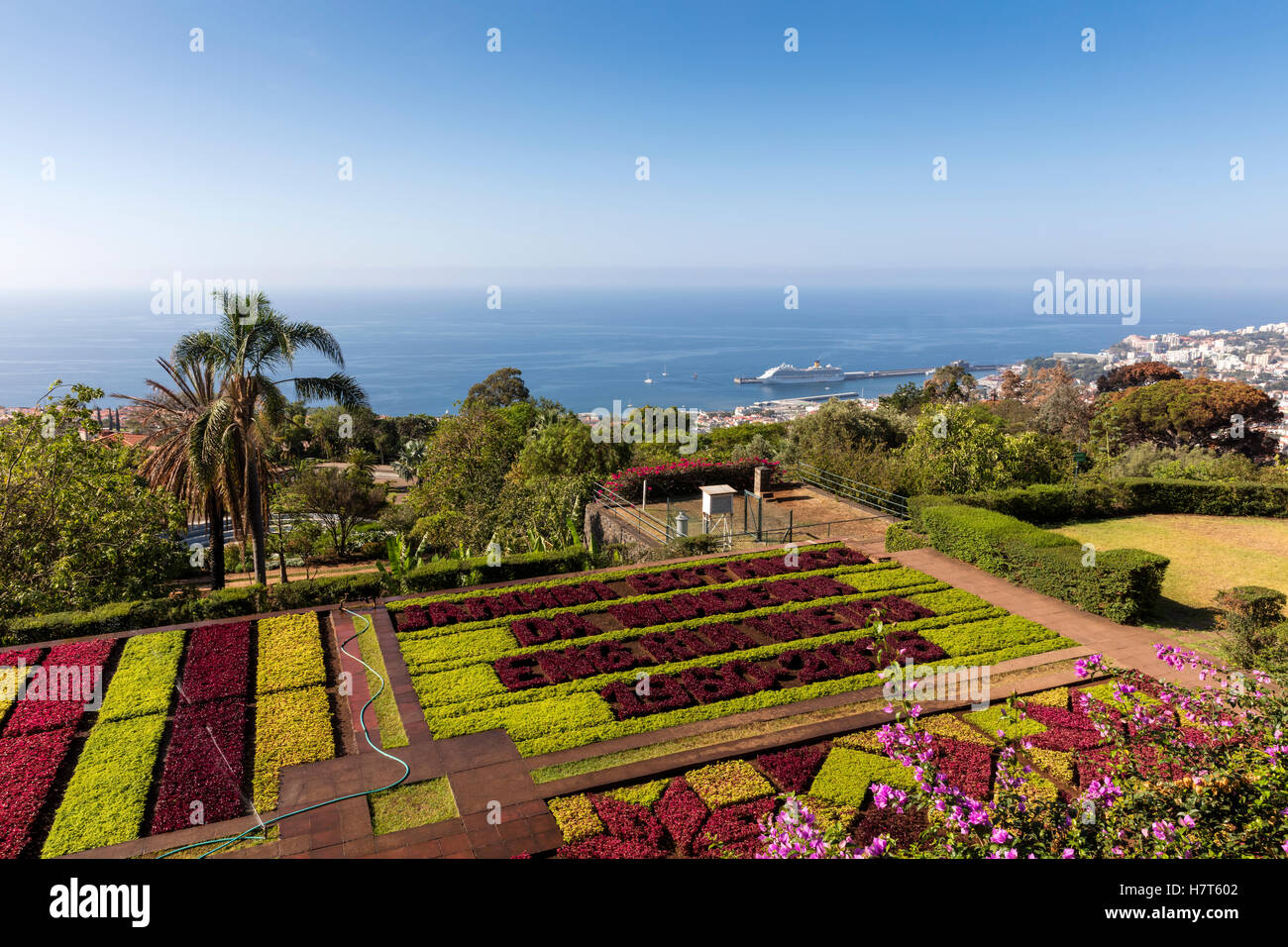 Madeira funchal botanic garden hi-res stock photography and images - Alamy