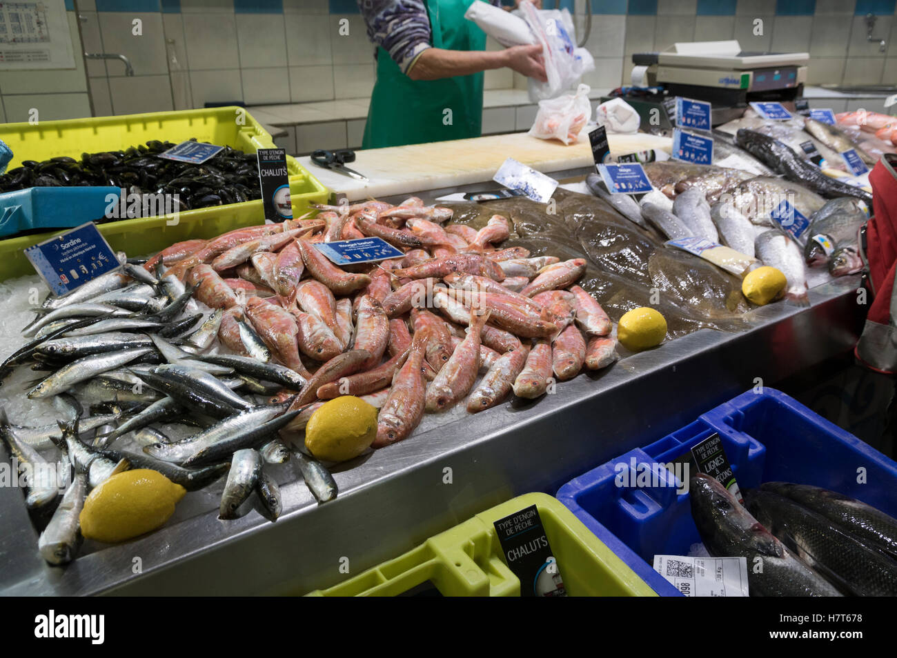 Fish on market stall, Rouget, Sardines Stock Photo - Alamy