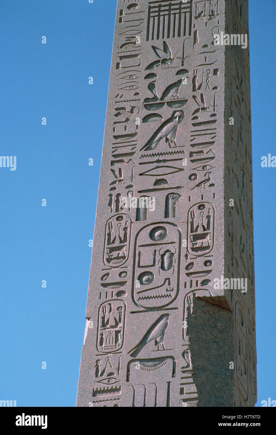 Obelisk with Scarab Beetle or Dung Beetle design, Egypt Stock Photo - Alamy