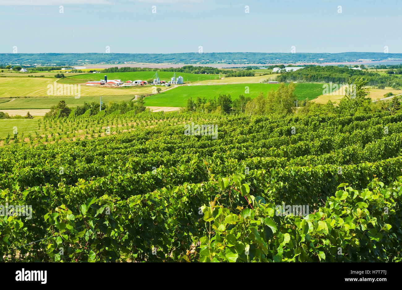 Wolfville nova scotia hi-res stock photography and images - Alamy