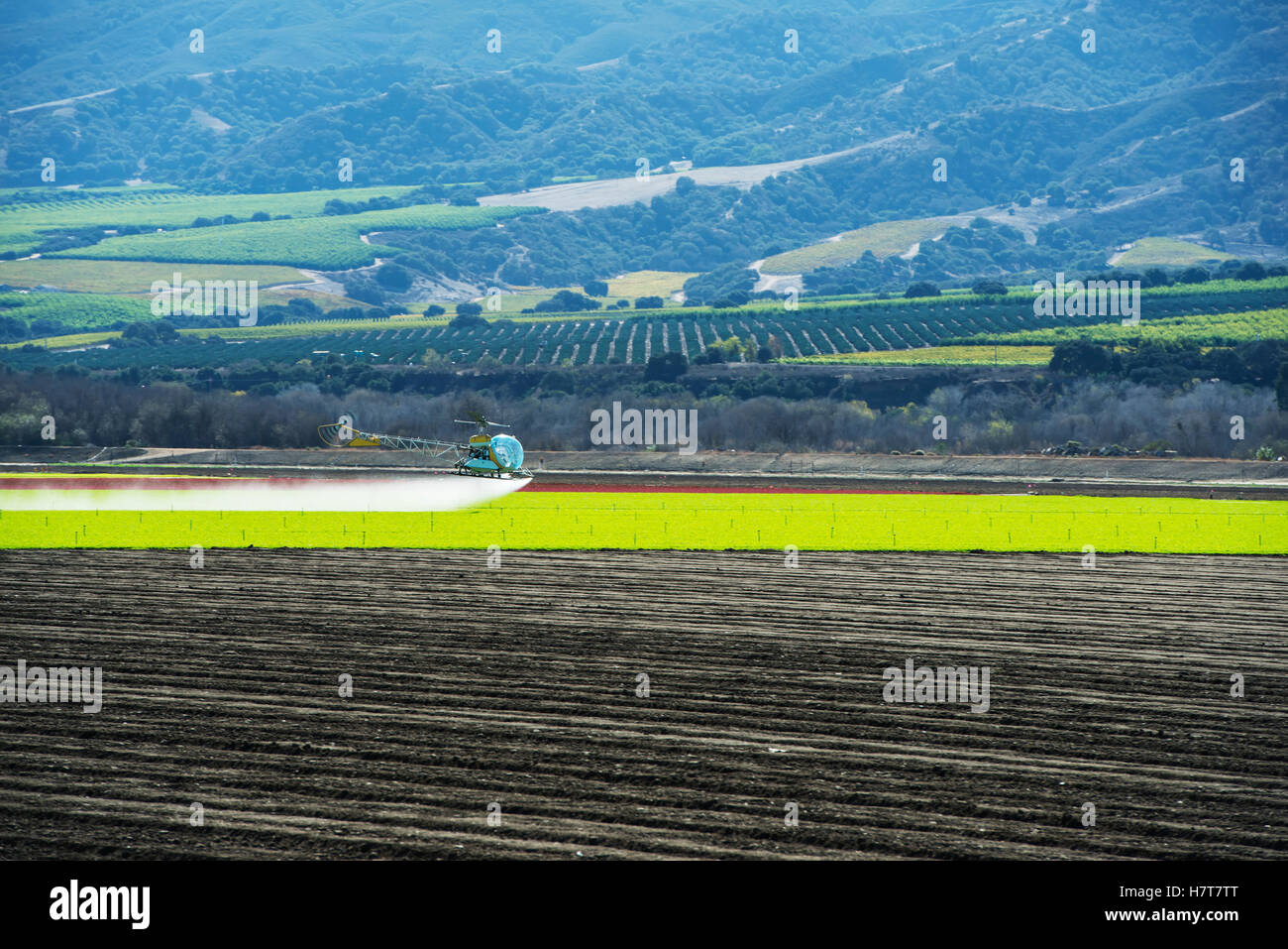 Helicopter spraying spring mix in fields; Gonzalez, California, United ...