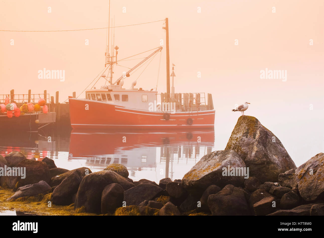 Nova scotia wildlife boat hi-res stock photography and images - Alamy