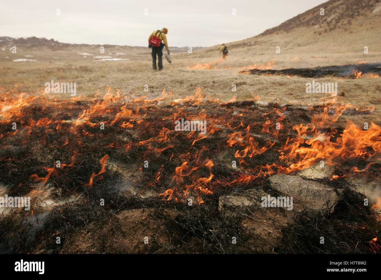 Controlled burn grass america hi-res stock photography and images - Alamy