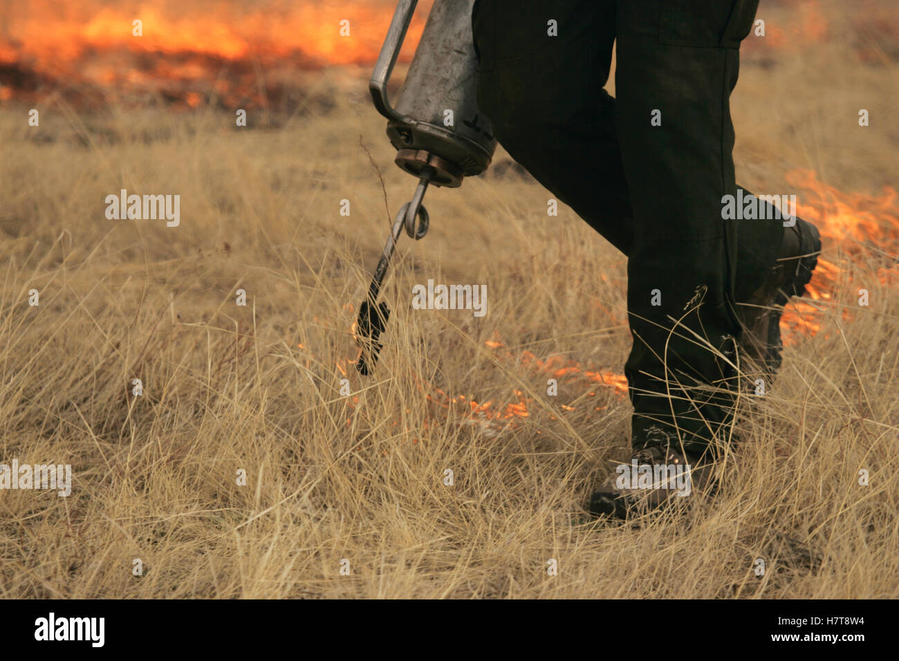 Controlled Burn In Wildlife Management Area Stock Photo - Alamy