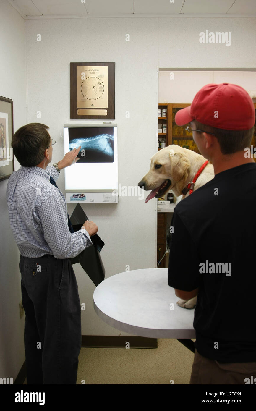 X ray of gun hi-res stock photography and images - Alamy