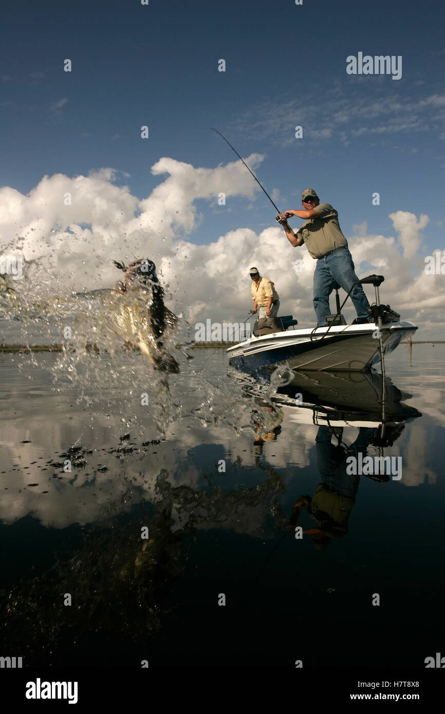 Striking rod hi-res stock photography and images - Alamy