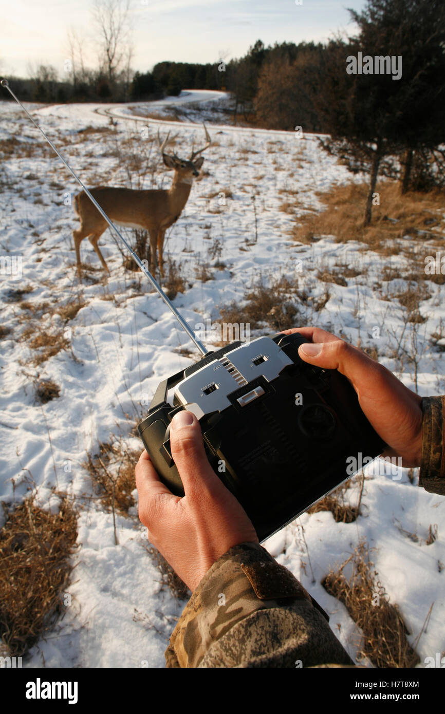 Conservation Officer With Remote Tracking Device Stock Photo - Alamy