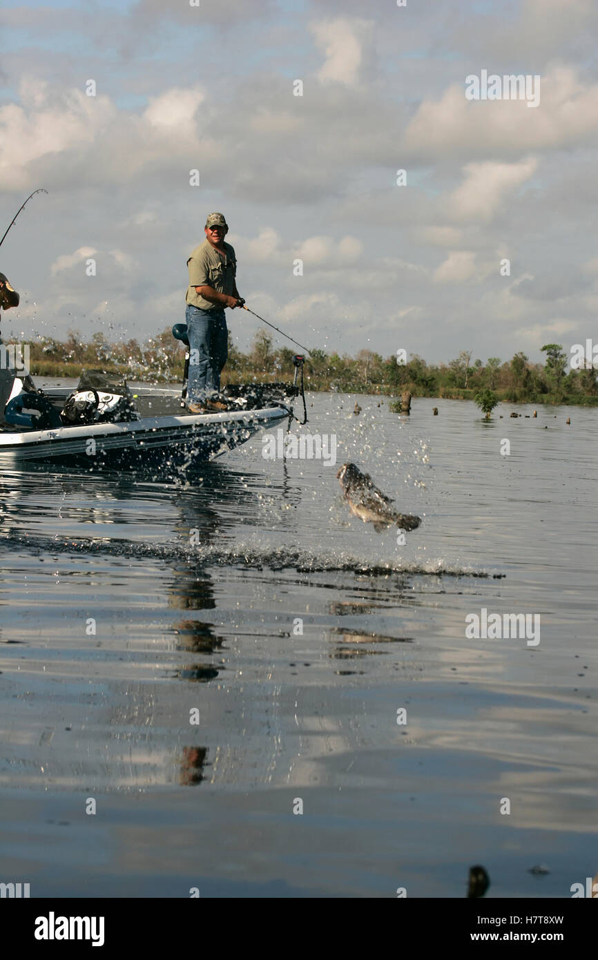 Bass Fisherman On Boat Stock Photo - Alamy