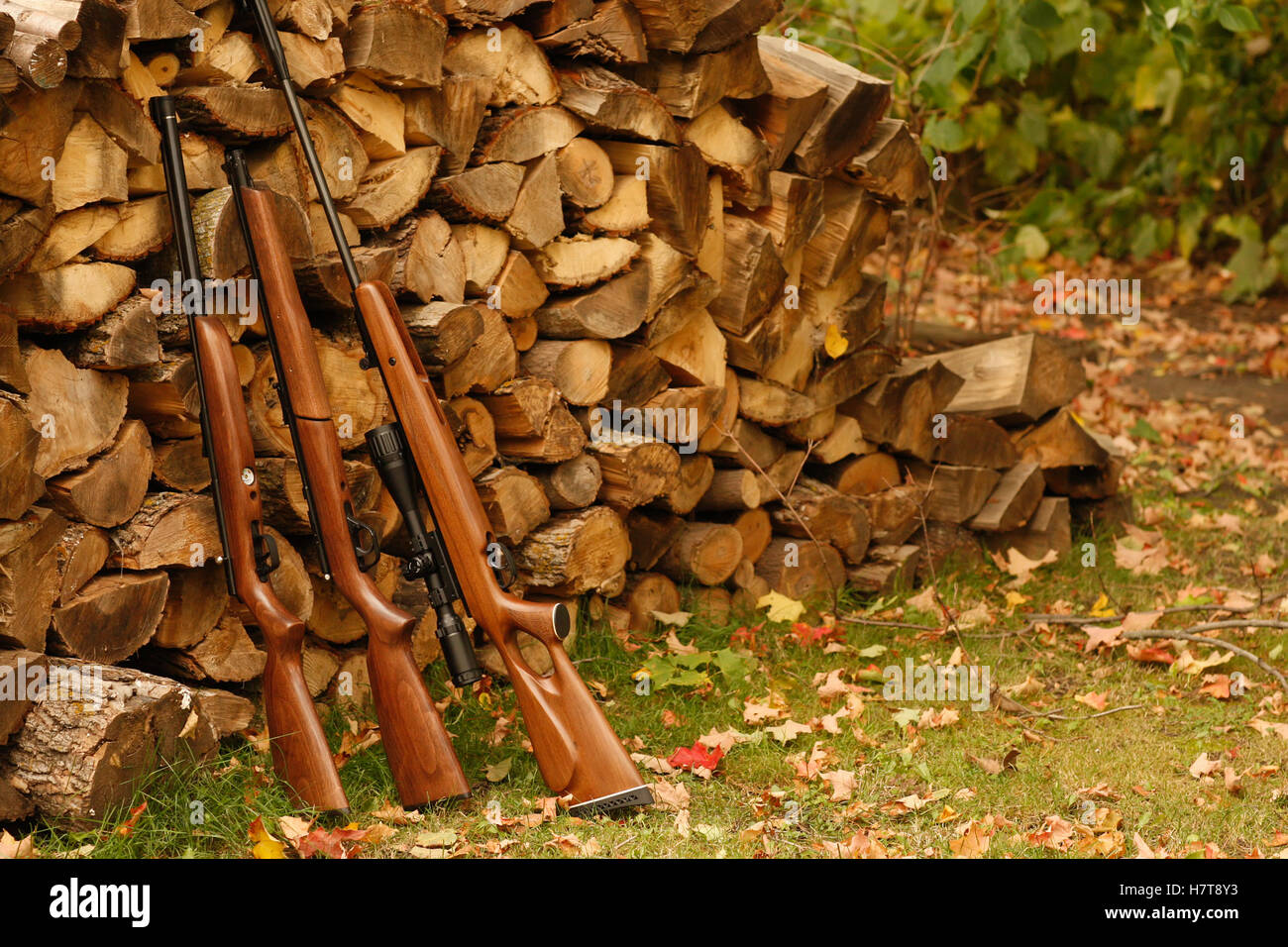 Air rifle hunting hi-res stock photography and images - Alamy