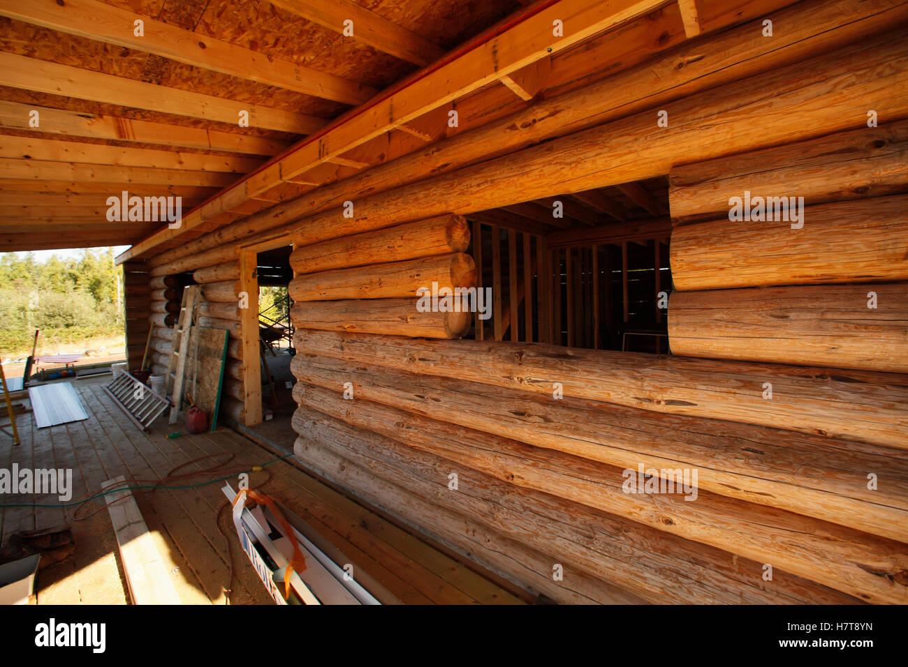 Bear hunt scene hi-res stock photography and images - Alamy