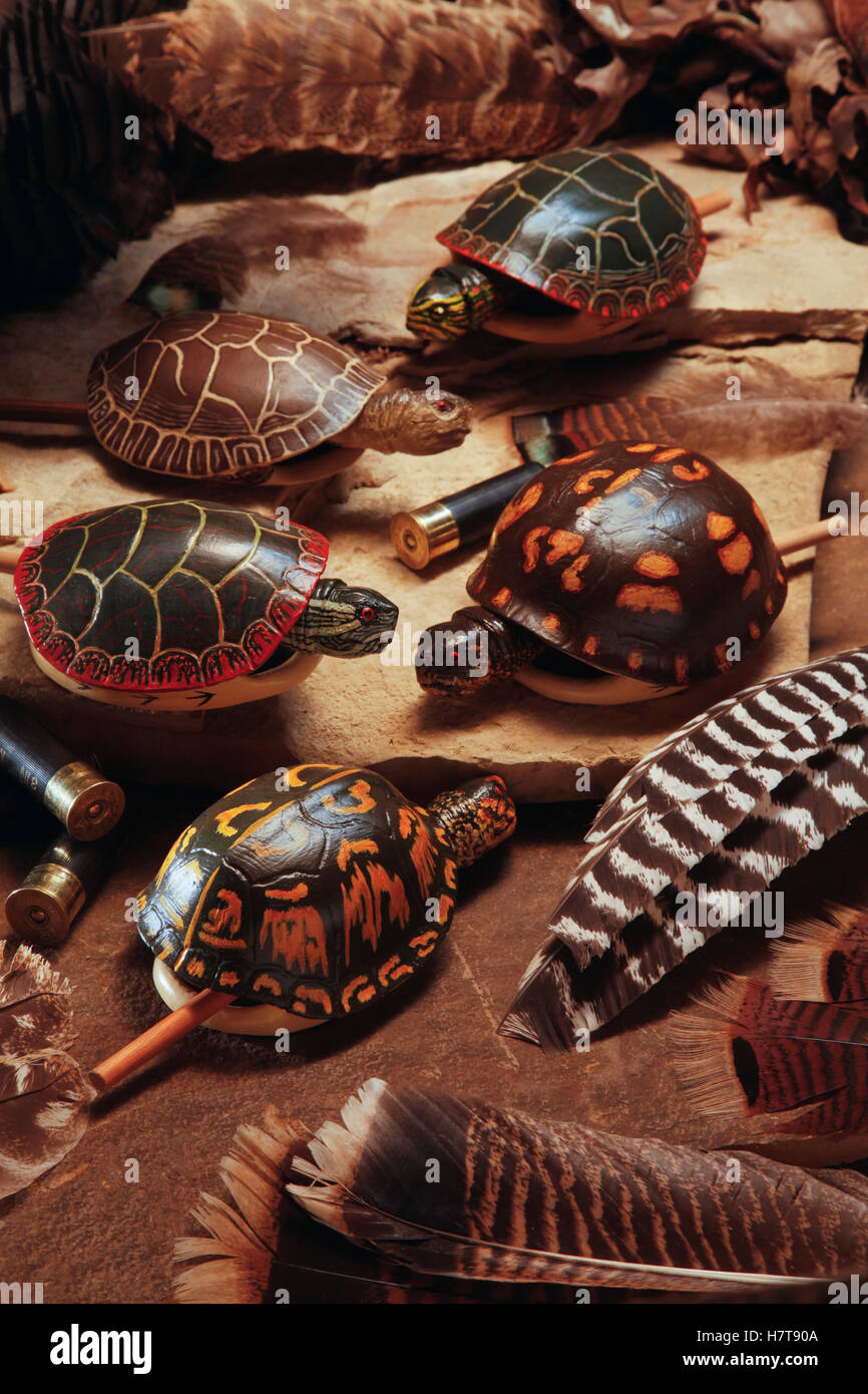 Hand painted turtle hi-res stock photography and images - Alamy