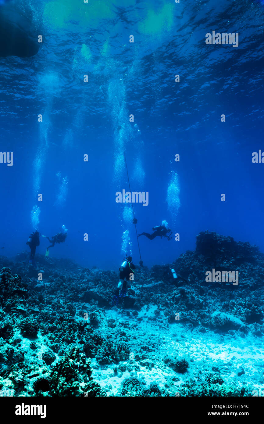 A group of scuba divers from Big Island Divers hanging out next to a ...