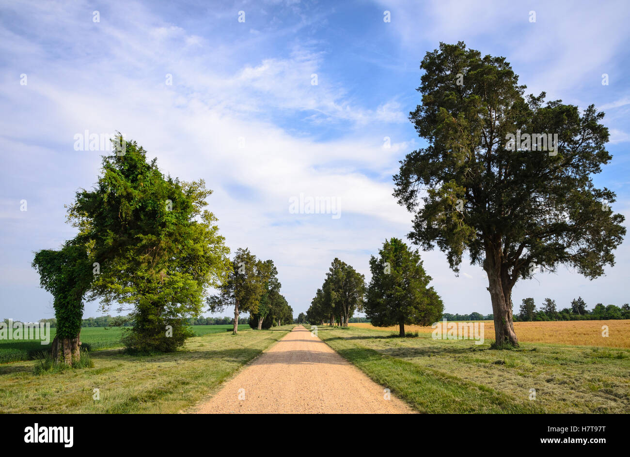 Westover hi-res stock photography and images - Alamy