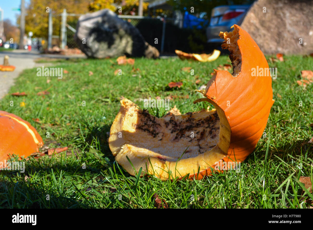Broken pumpkin on the grass Stock Photo - Alamy