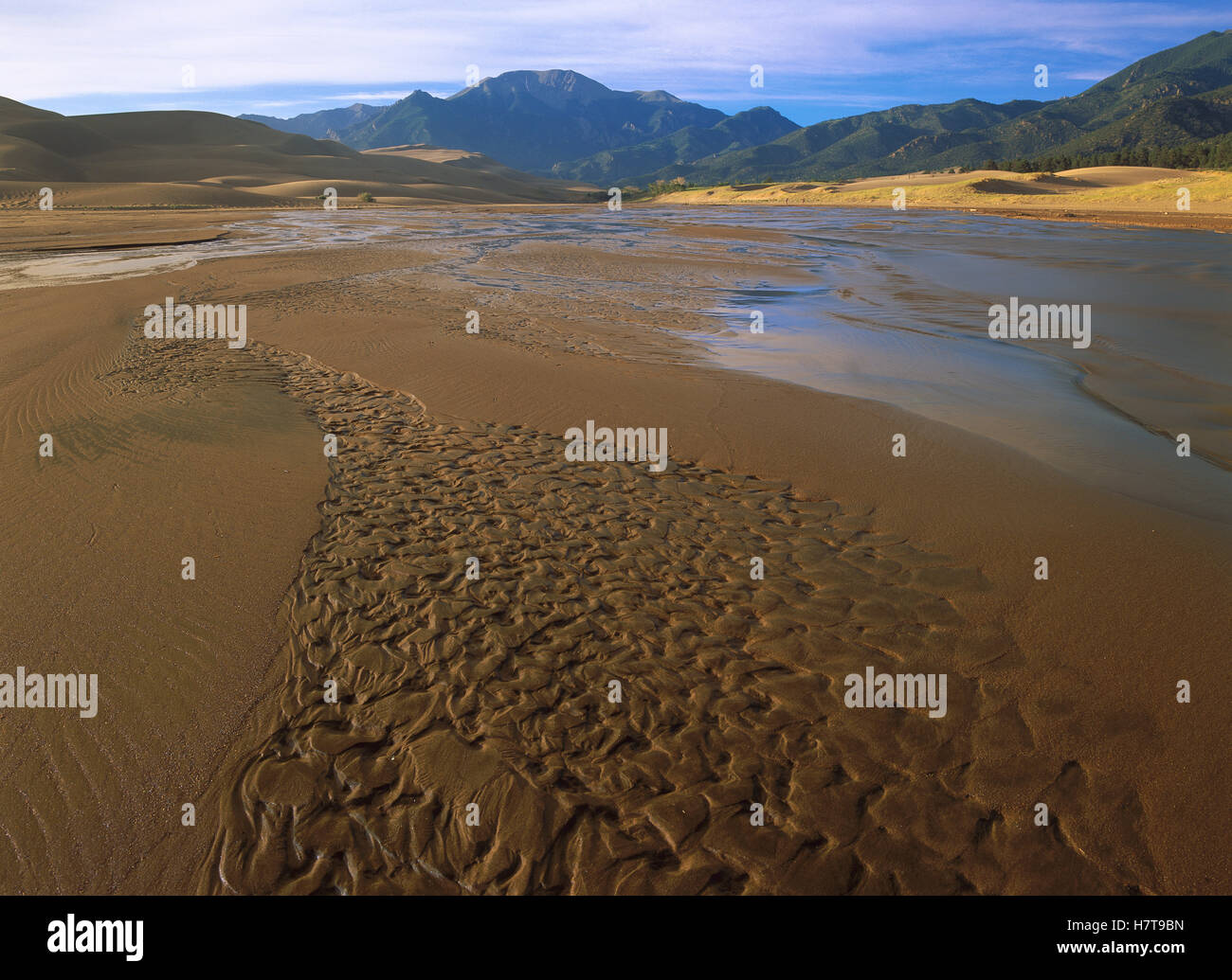 Patterns in stream bed, Great Sand Dunes National Monument, Colorado ...