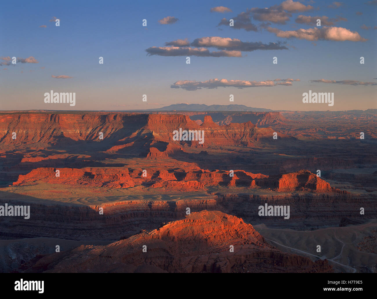 Dead Horse Point (6,000 feet in elevation) overlooking canyon eroded by ...