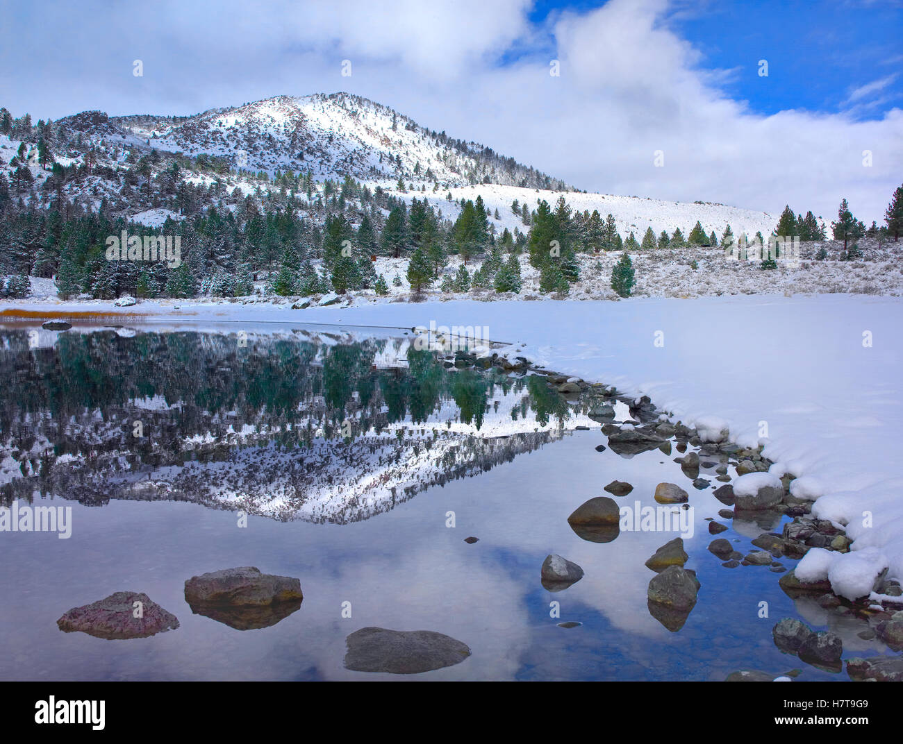 June Lake reflecting snow-covered mountains after clearing storm ...