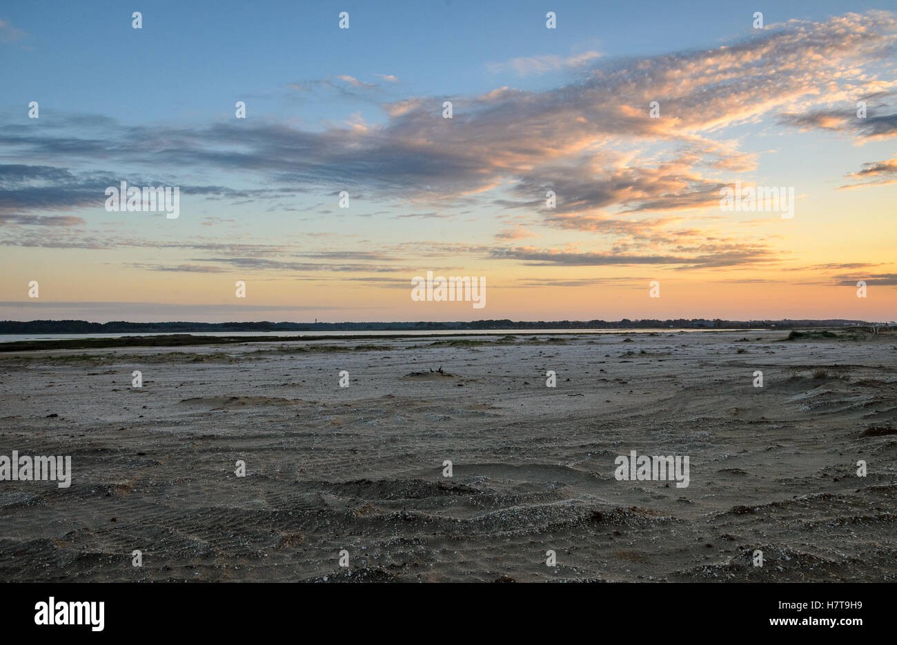 Chincoteague hi-res stock photography and images - Alamy