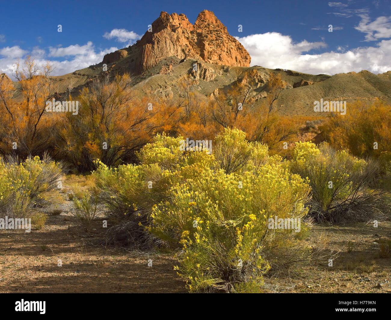 Mitten Rock, New Mexico Stock Photo - Alamy