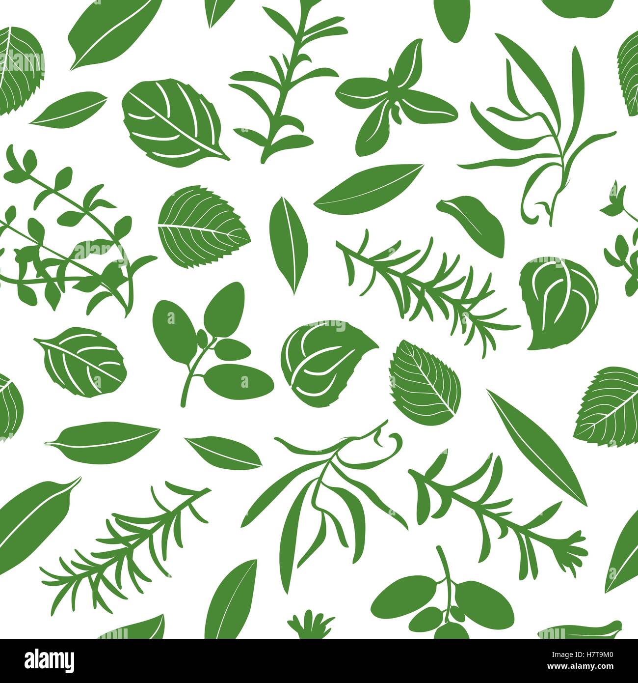 Herbes de Provence seamless pattern vector set. Popular culinary herbs ...