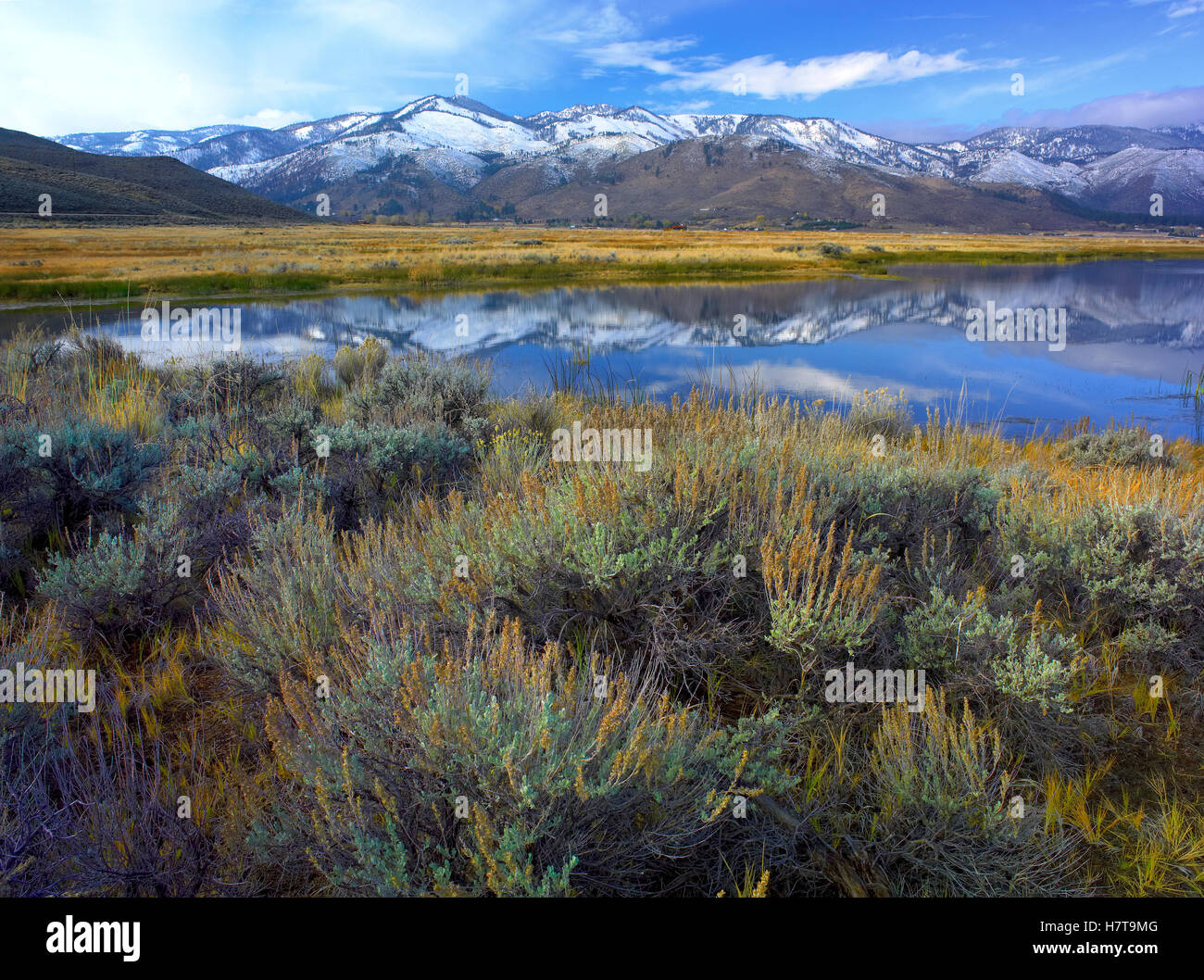 The Carson Range reflected in Washoe Lake, Nevada Stock Photo - Alamy