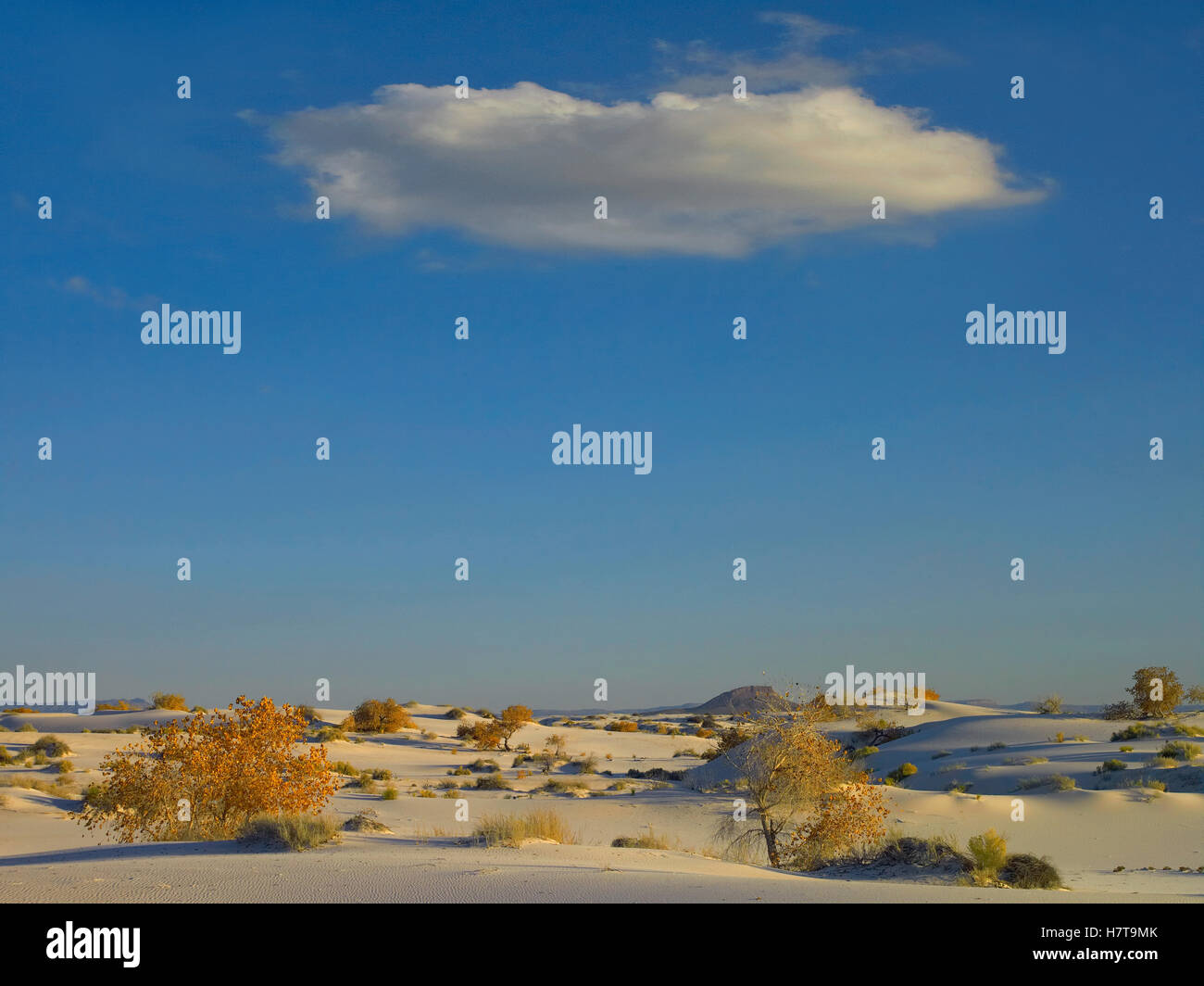 Cloud over White Sands National Monument, Chihuahuan Desert, New Mexico ...