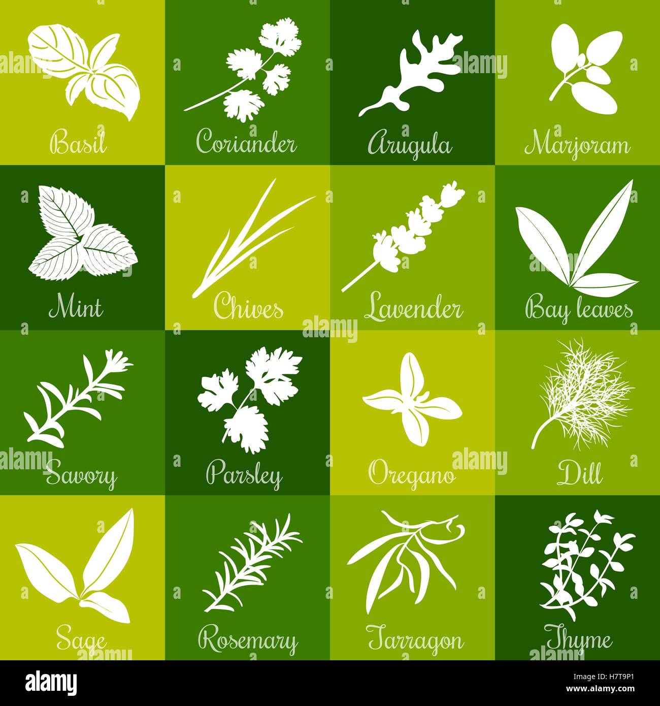 Salad seasoning icon hand Stock Vector Images - Alamy