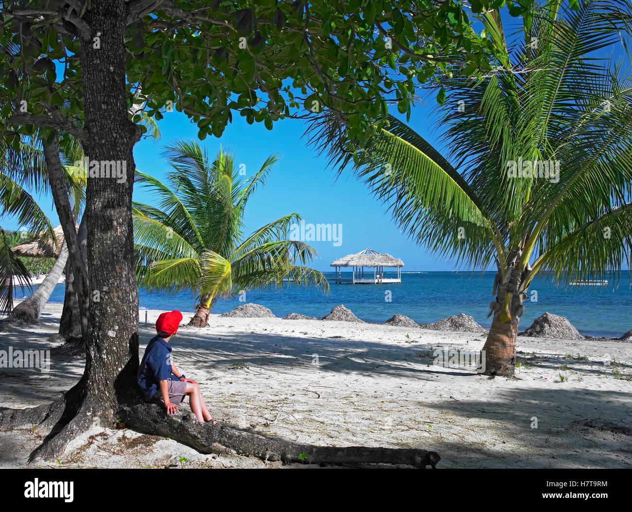Tourist resting under palm trees on beach at Palmetto Bay, Roatan ...