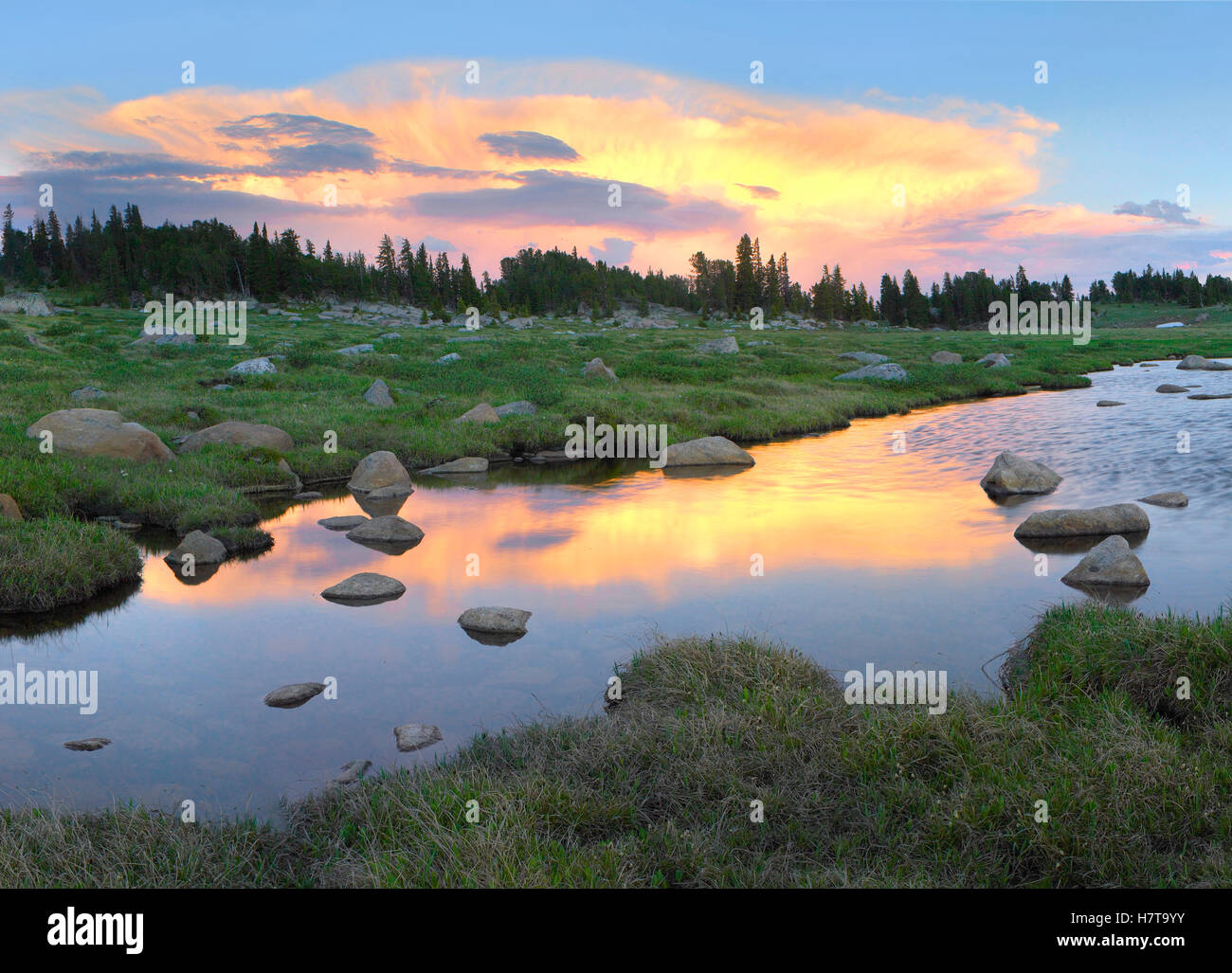 Clouds and sunset reflected in stream, Hellroaring Plateau, Montana ...