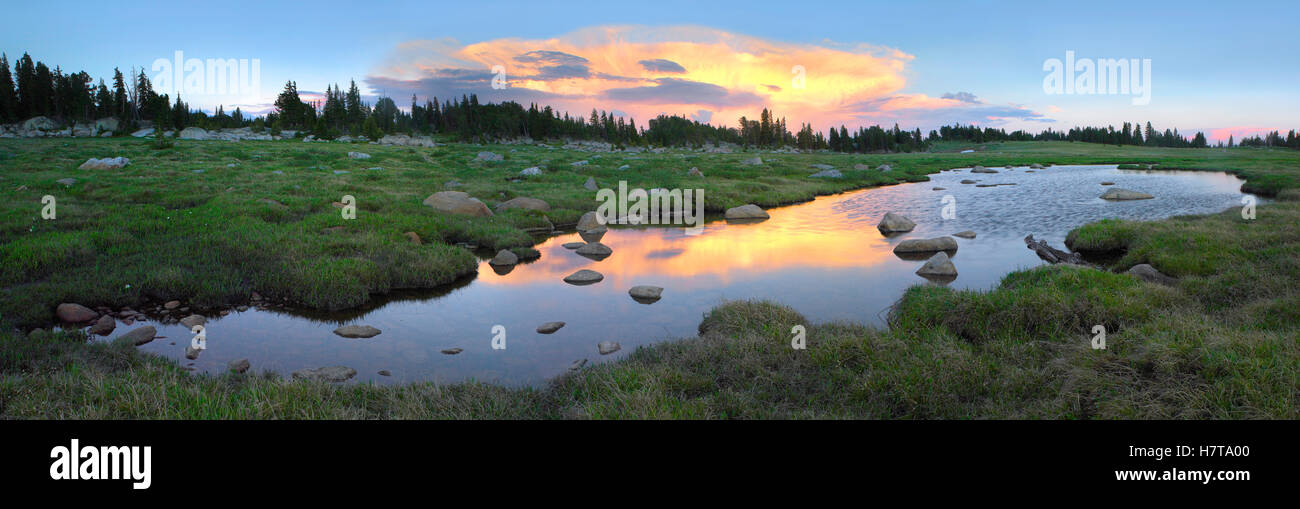 Clouds and sunset reflected in stream, Hellroaring Plateau, Montana ...