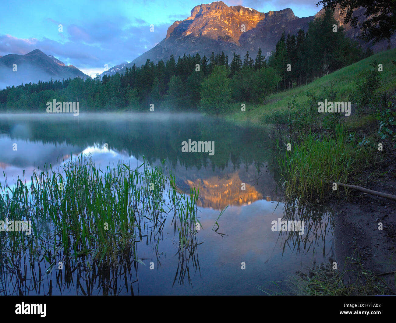 Morning light on Mt Kidd, mist rising from water, Kananaskis Country ...