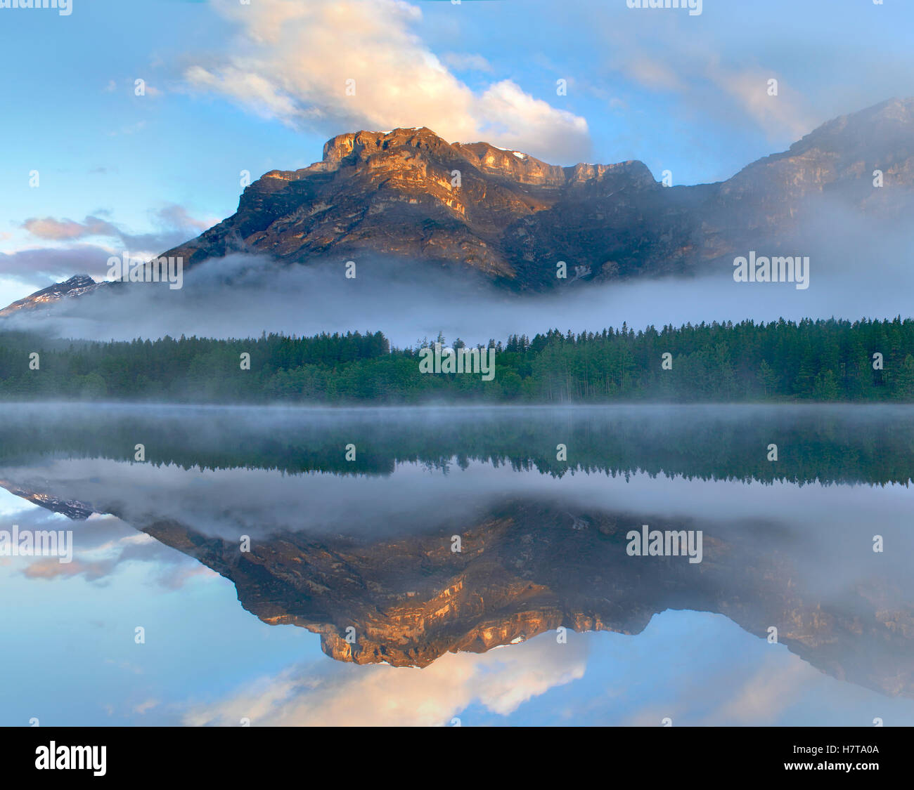 Morning light on Mt Kidd as seen from Wedge Pond, Alberta, Canada Stock ...