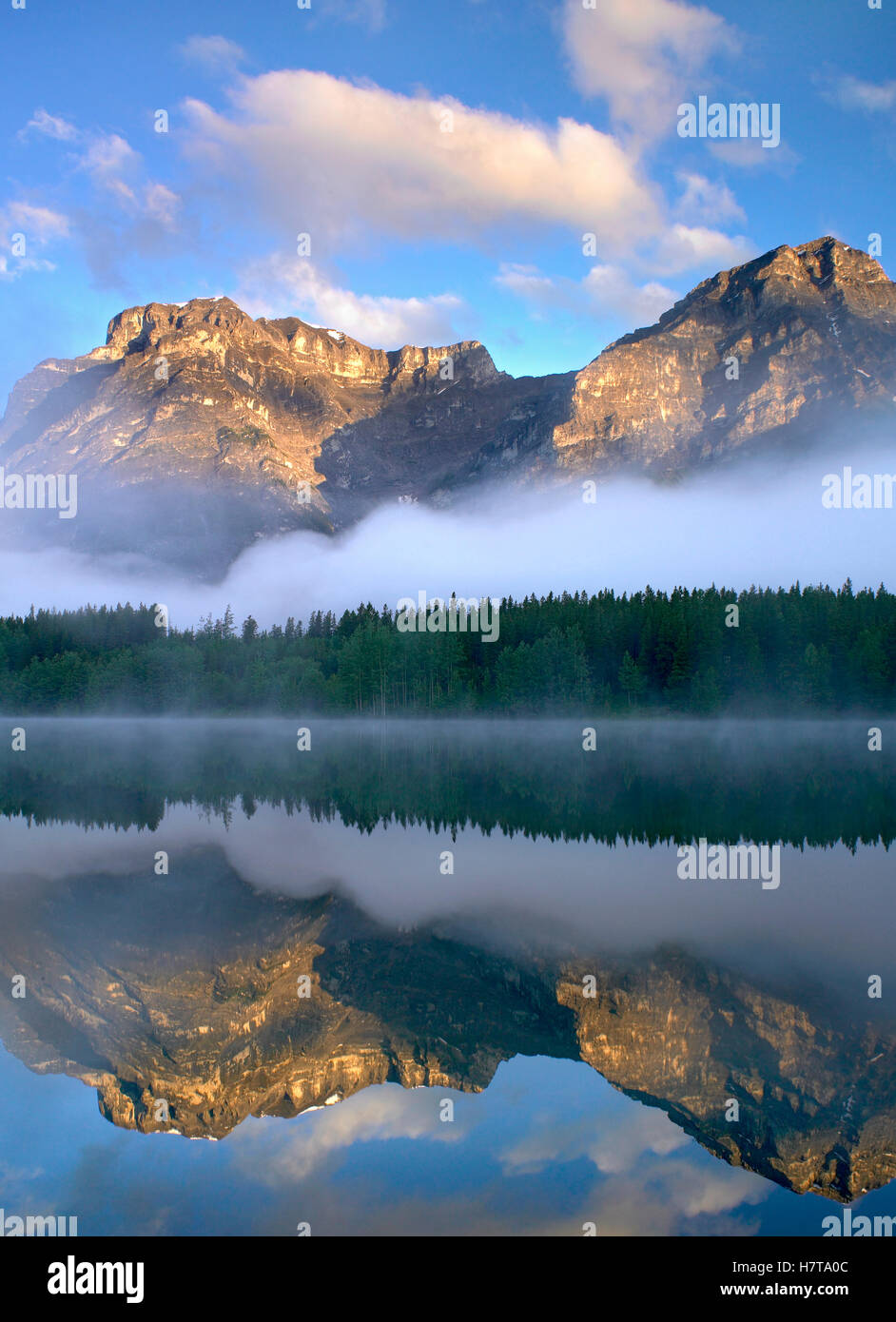 Morning light on Mt Kidd as seen from Wedge Pond, Alberta, Canada Stock ...